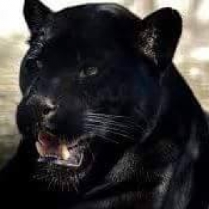 Cutty Sark - , bio, phone, address, ratings and reviews from patients | DocTiming - the best ...